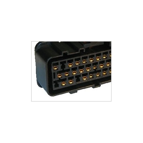 Omex 200 ECU Full "Race" Harness