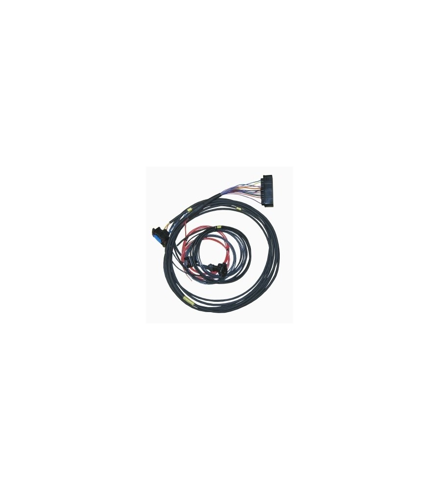 Omex 200 ECU Basic "Race" Harness - Spoox Motorsport