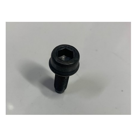 Genuine OE Peugeot 306 GTI-6 Sump Bolt (1)