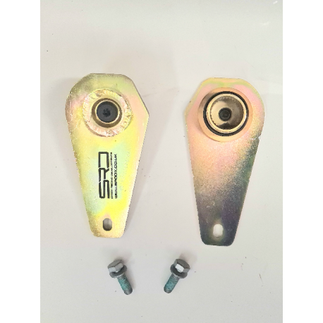 Peugeot 309 Time Attack Rear Antiroll Bar End Plate Kit